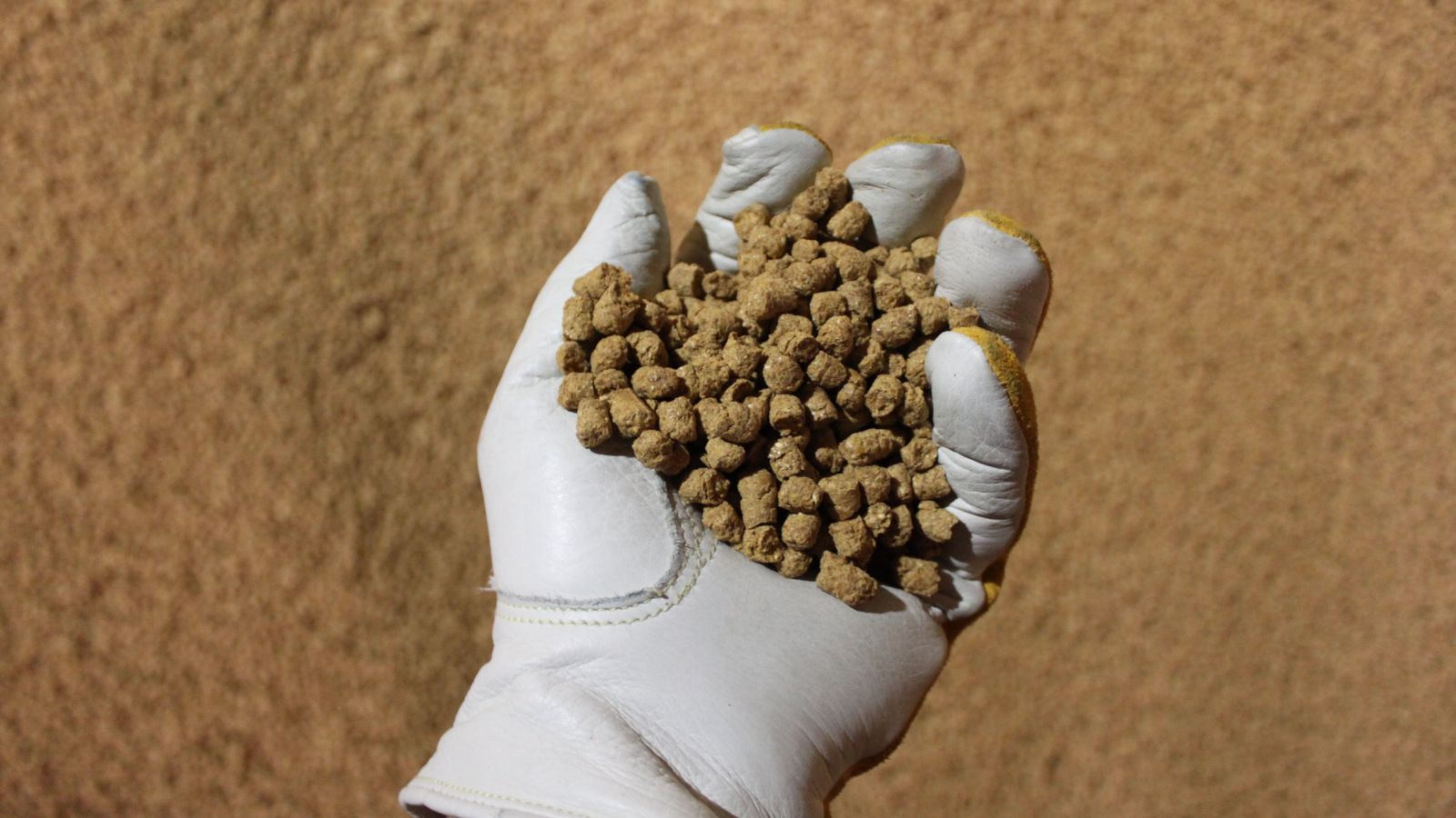 Food & feed ingredients
